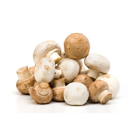 Funghi cremini Champignon 3 Kg