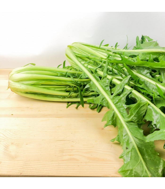 Verdura fresca | Il Contadino-Online